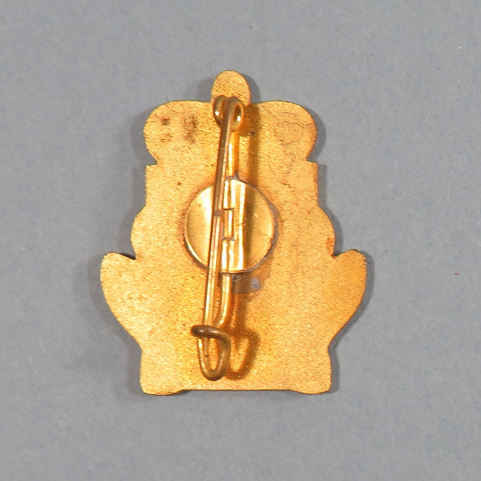 INSIGNE MILITAIRE SERVICE DE SANTE HOPITAL MARITIME NAVIRE ST ANNE FAB ...