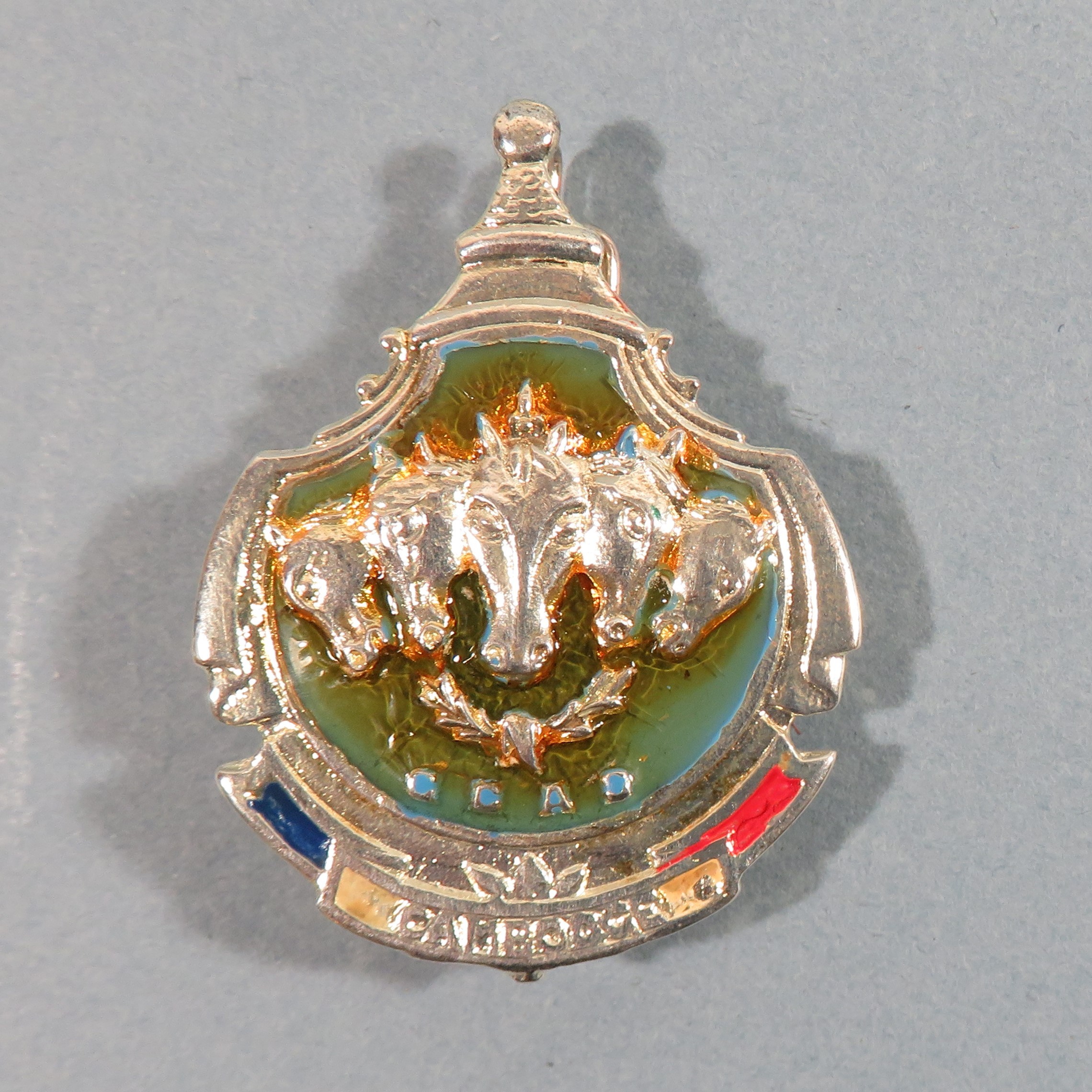 INSIGNE MILITAIRE 1 er REC CAVALERIE LEGION ETRANGERE CCAS CAMBODGE FABRICATION AIXIA 1992 ...