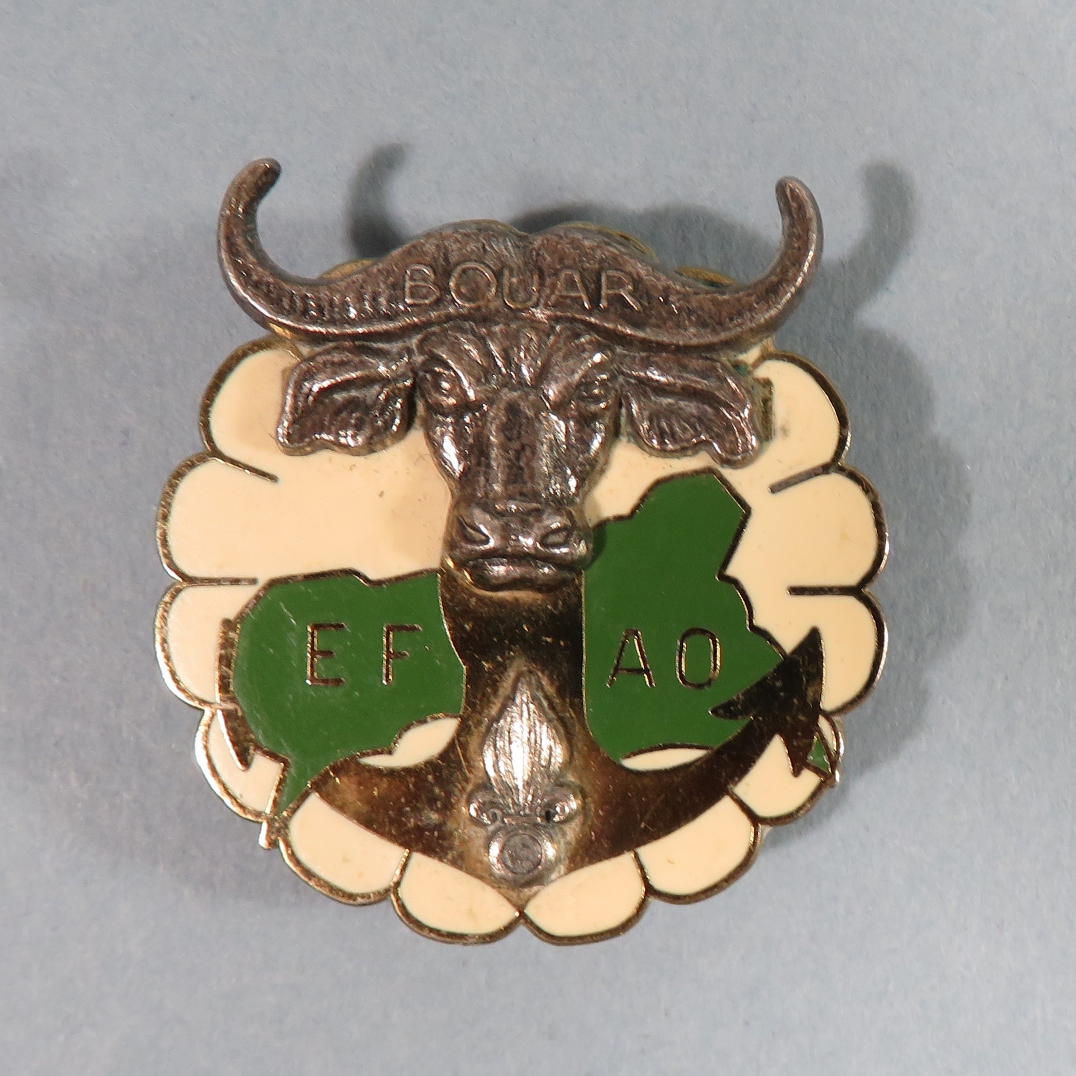 INSIGNE MILITAIRE LEGION ETRANGERE CIC DU 4 ème REI REGIMENT ETRANGER ...